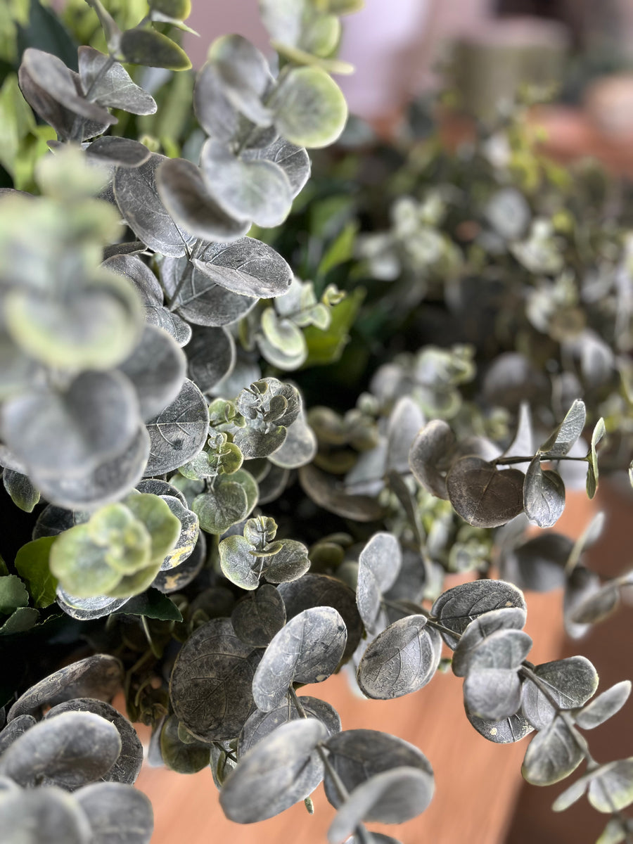 Eucalyptus Bush – Tussocks Homeware