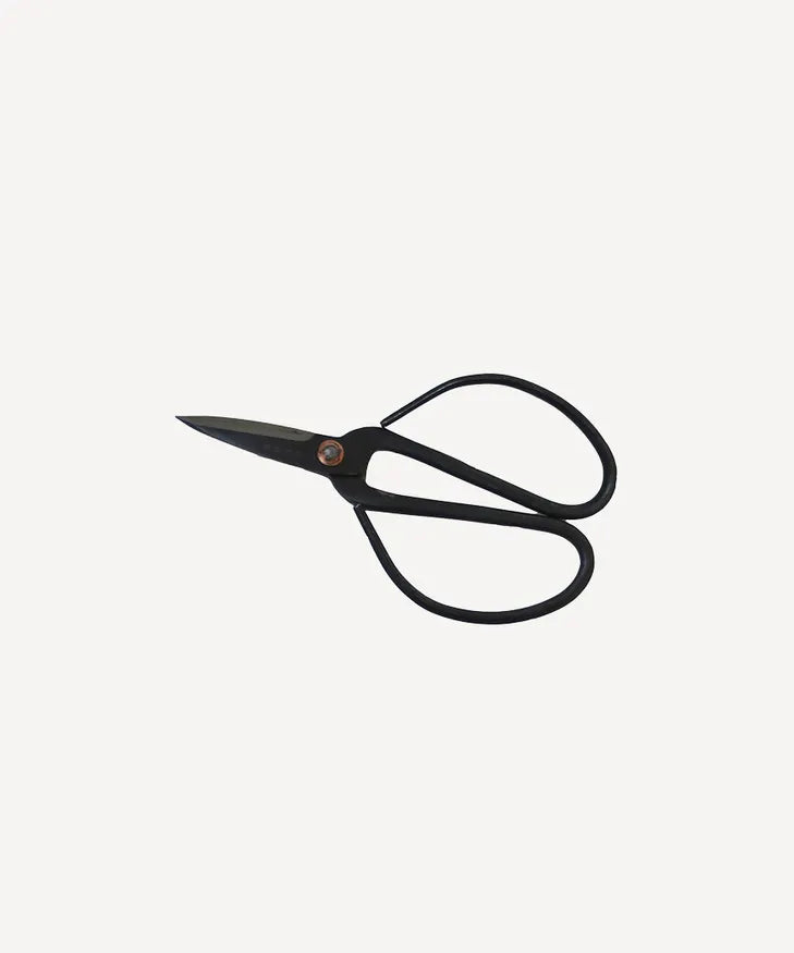 Black Herb Scissors – Tussocks Homeware